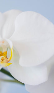 Best Medical Spa In Boston | SkinHealth Centers